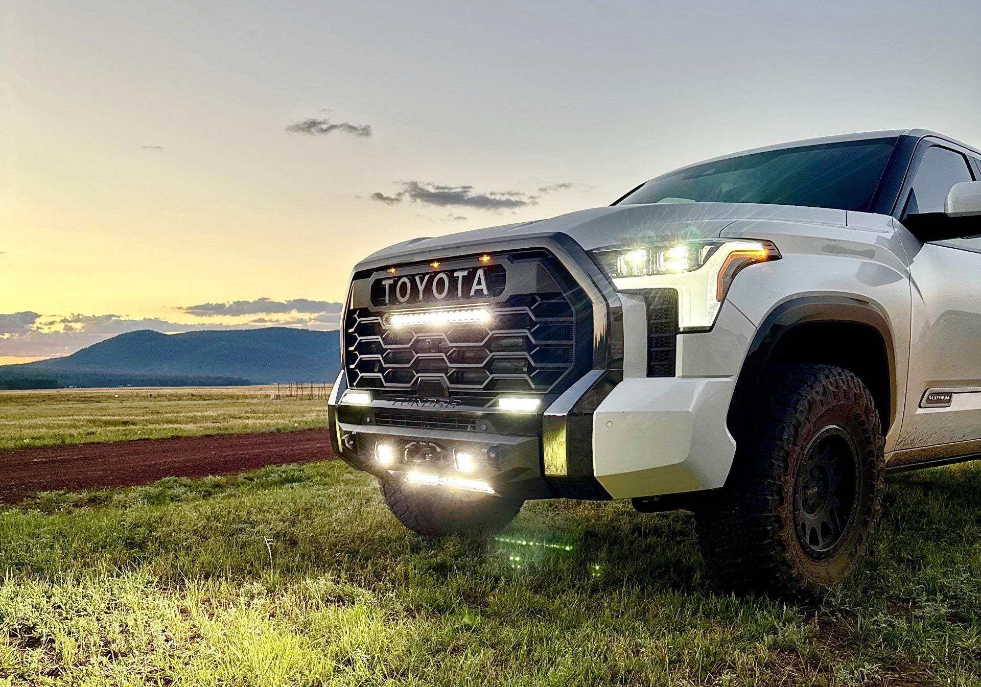 Shop the Ultimate TRD Pro Grille Kit for a Rugged, Bold Look – Avondale ...